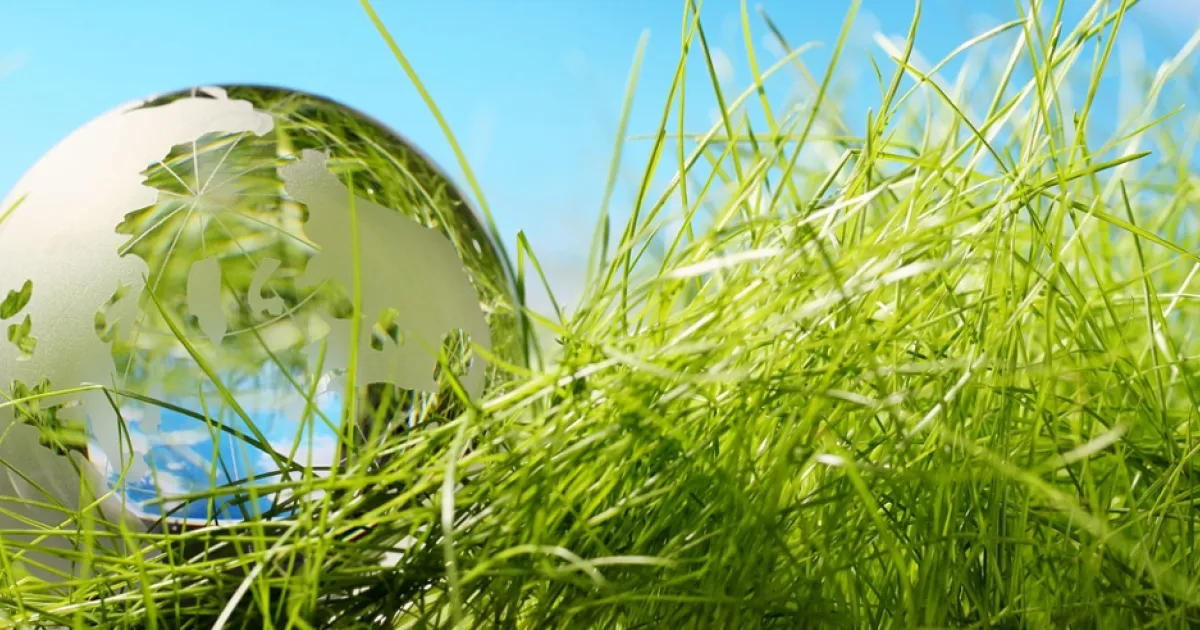 Sustainable Innovations | cursus duurzame businessmodellen | HvA
